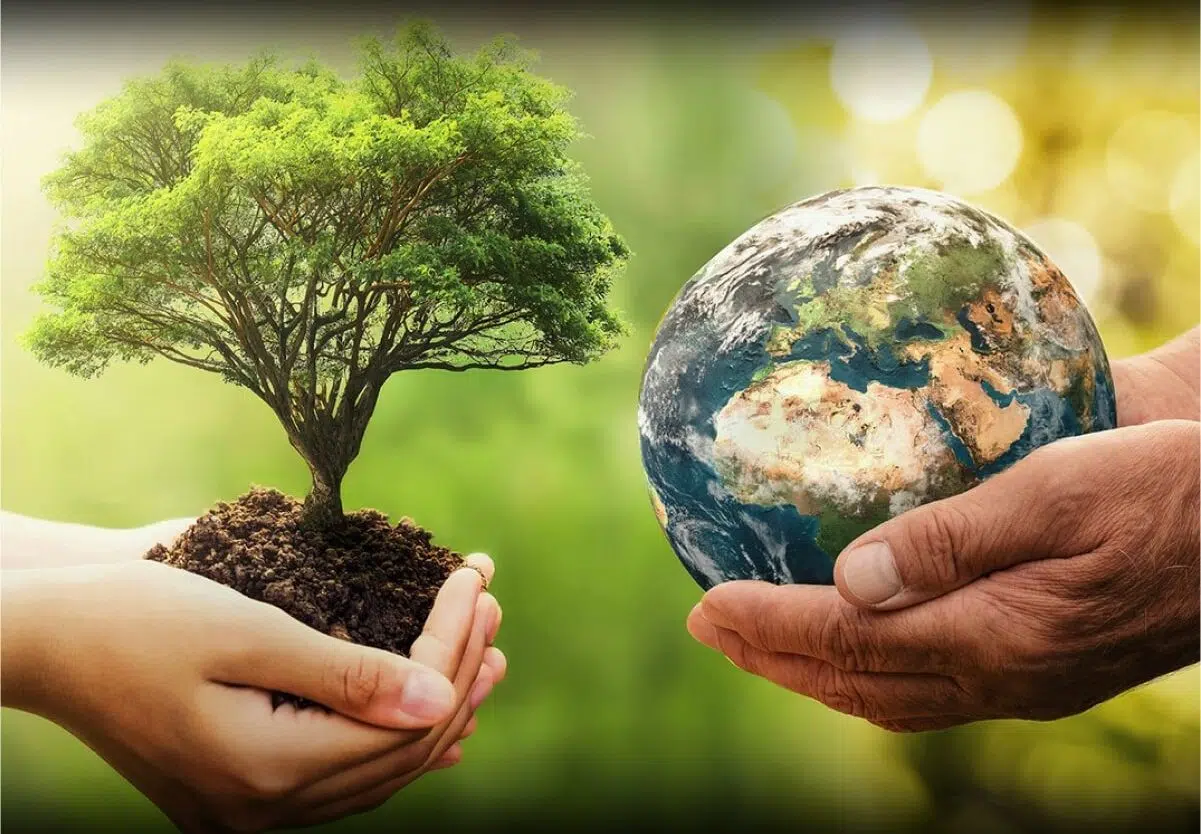 Plantd's Support for EARTH DAY 2024 | Plantd