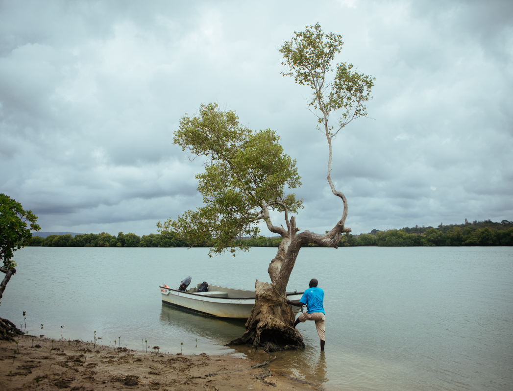 Plantd | Restoring East African Mangroves for Earth Day and Beyond.