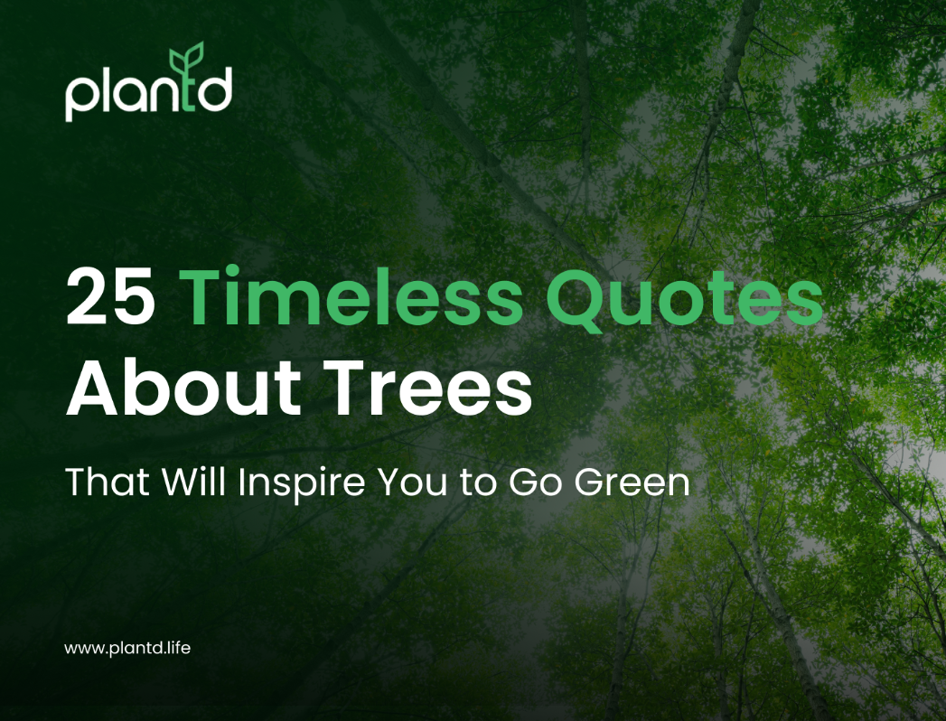 Plantd | 25 Timeless Quotes About Trees That Will Inspire You to Go Green