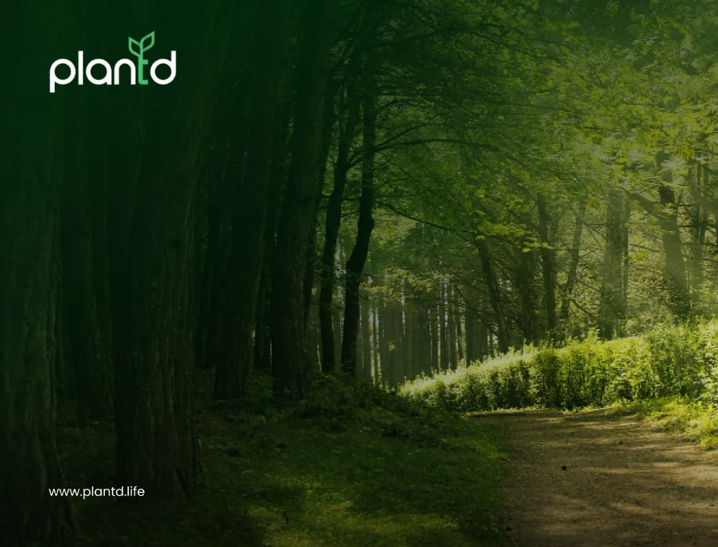 12 Fun Facts About Trees That Will Blow Your Mind | Plantd